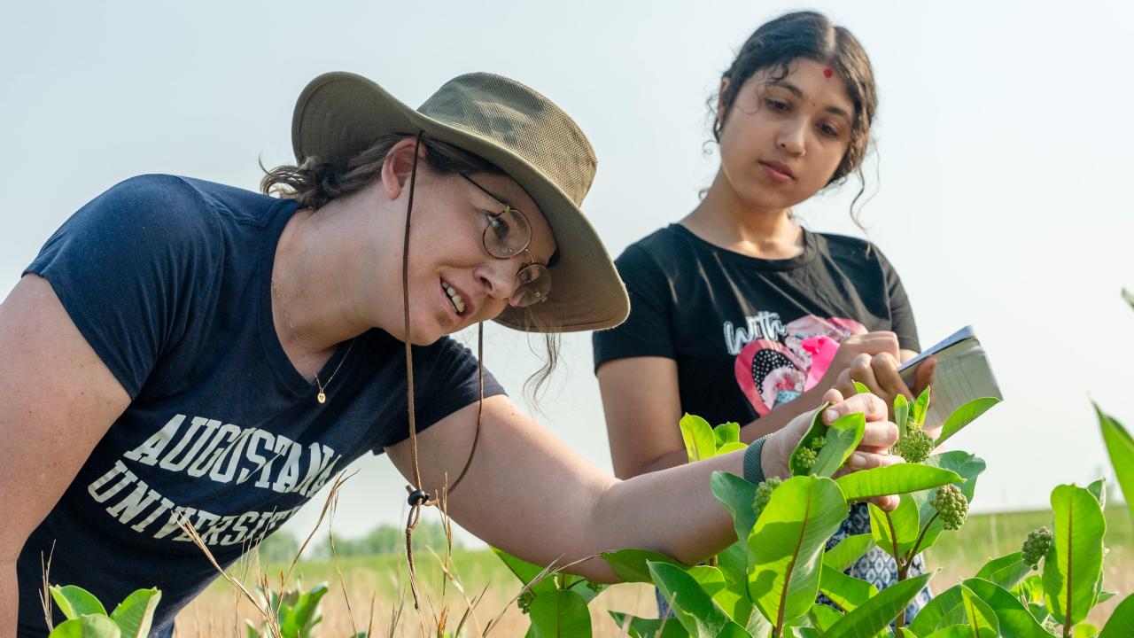 Augustana Biology Professor Earns $1.2 Million National Science Foundation CAREER Award ...